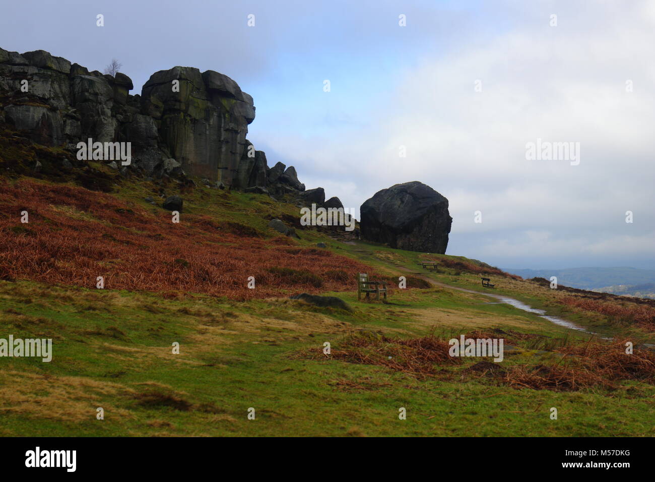 Cow n calf rocks ilkley hi-res stock photography and images - Alamy