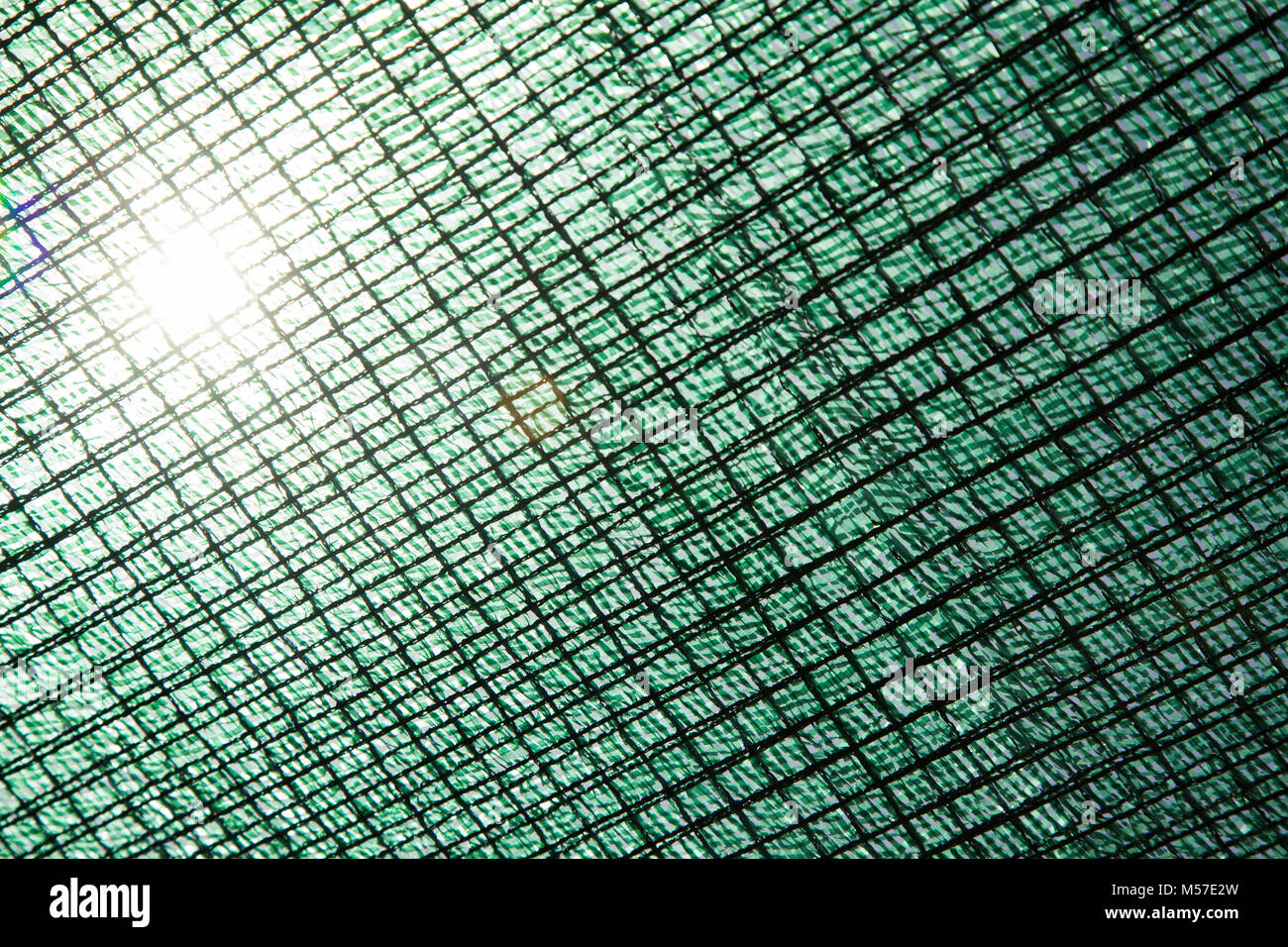 Grass through net hi-res stock photography and images - Alamy
