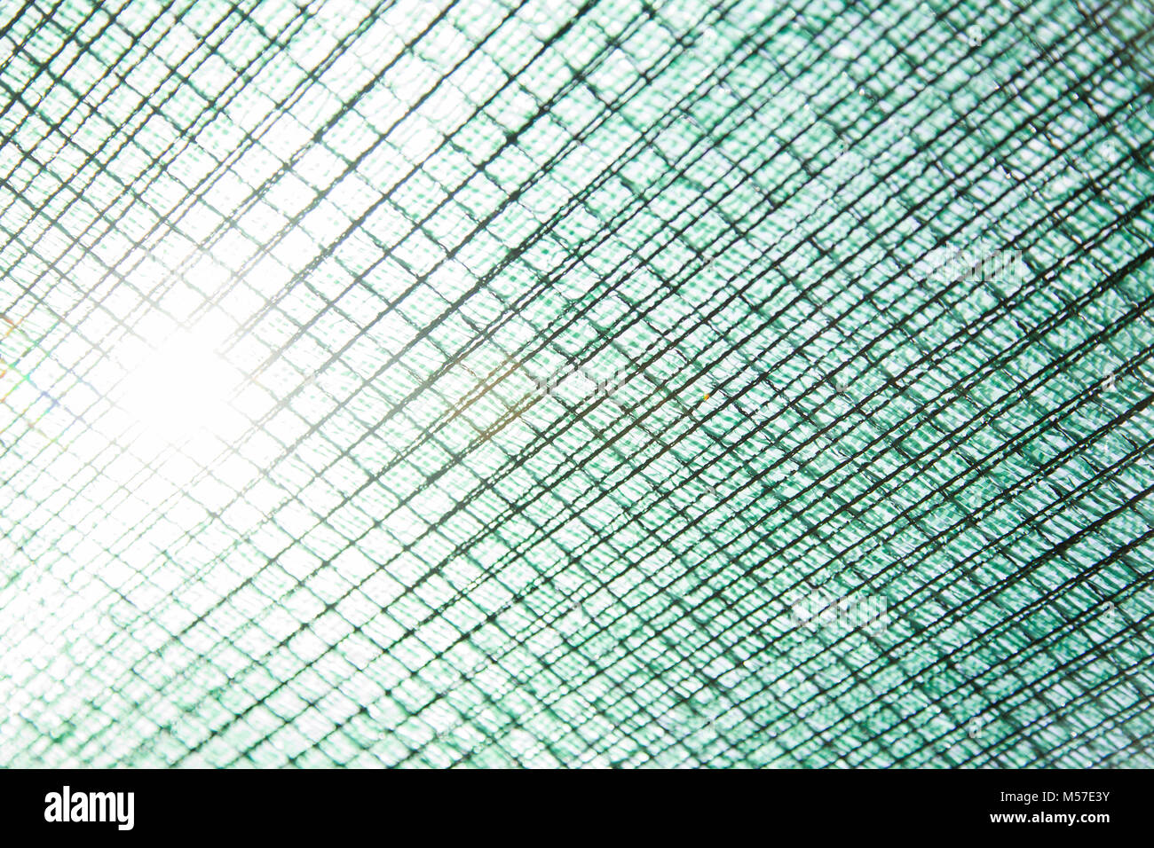 Green net texture with sun shining through Stock Photo - Alamy