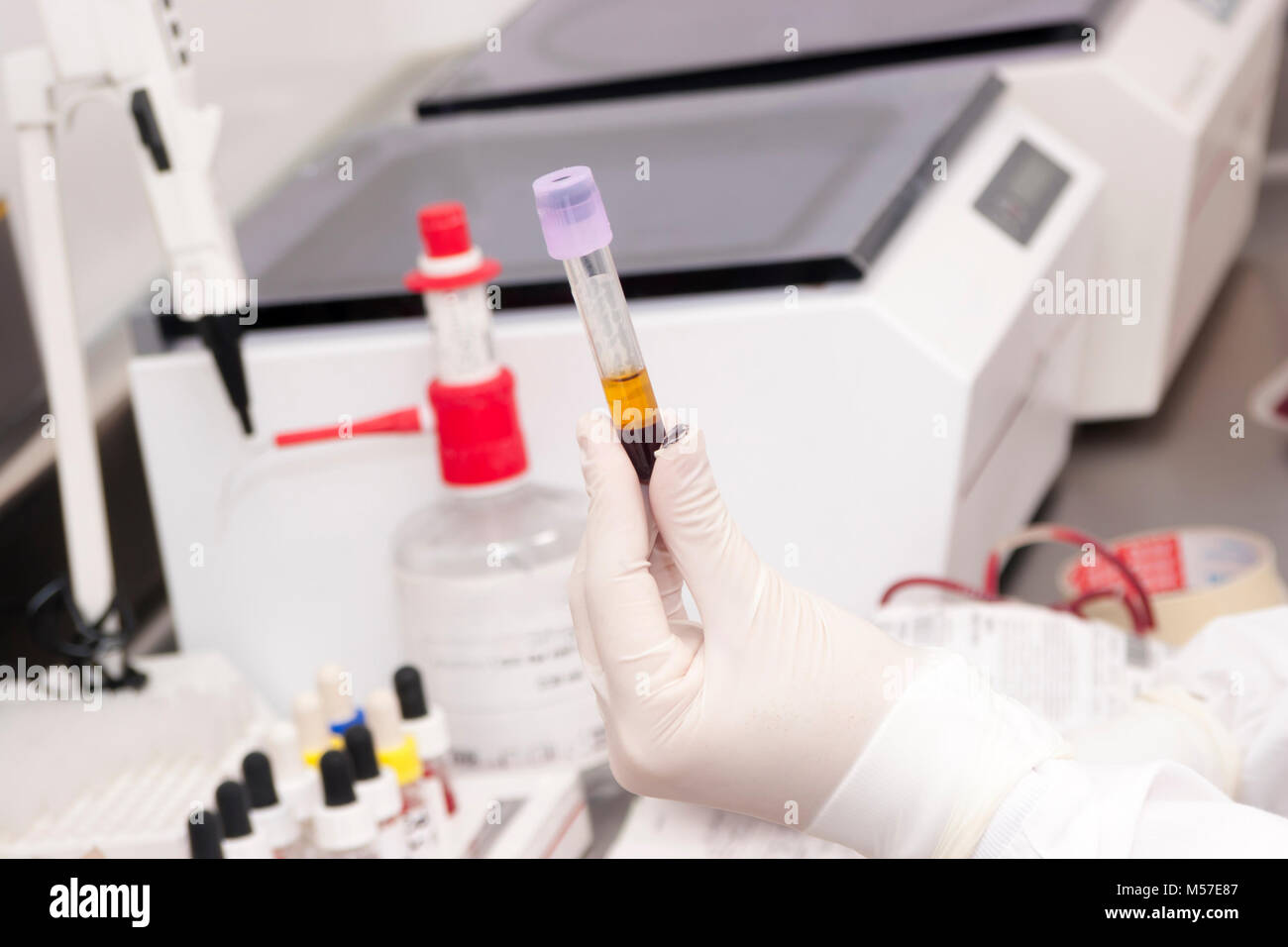 People Working At Laboratory of Blood Bank Stock Photo - Alamy