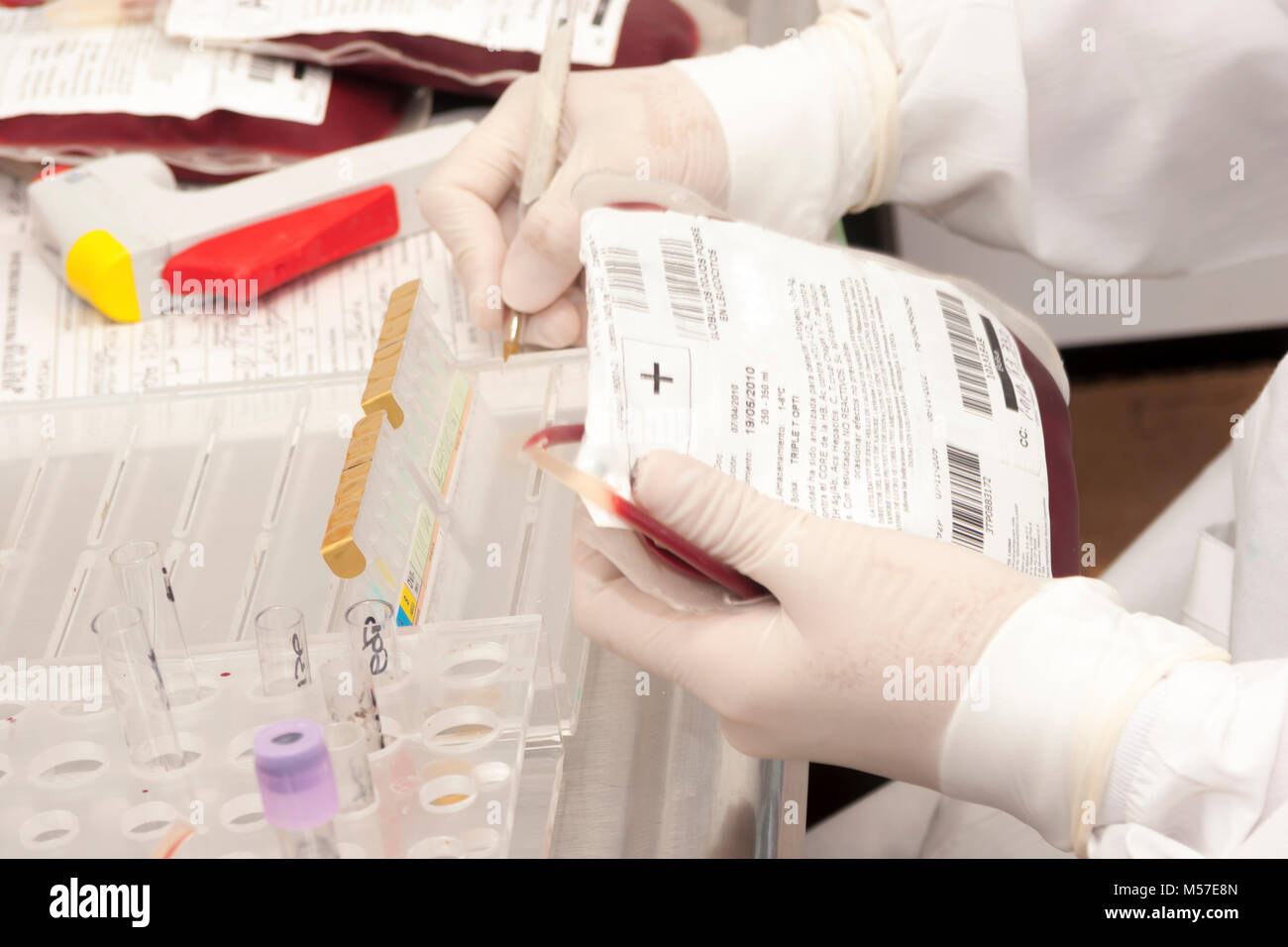 People Working At Laboratory of Blood Bank Stock Photo - Alamy