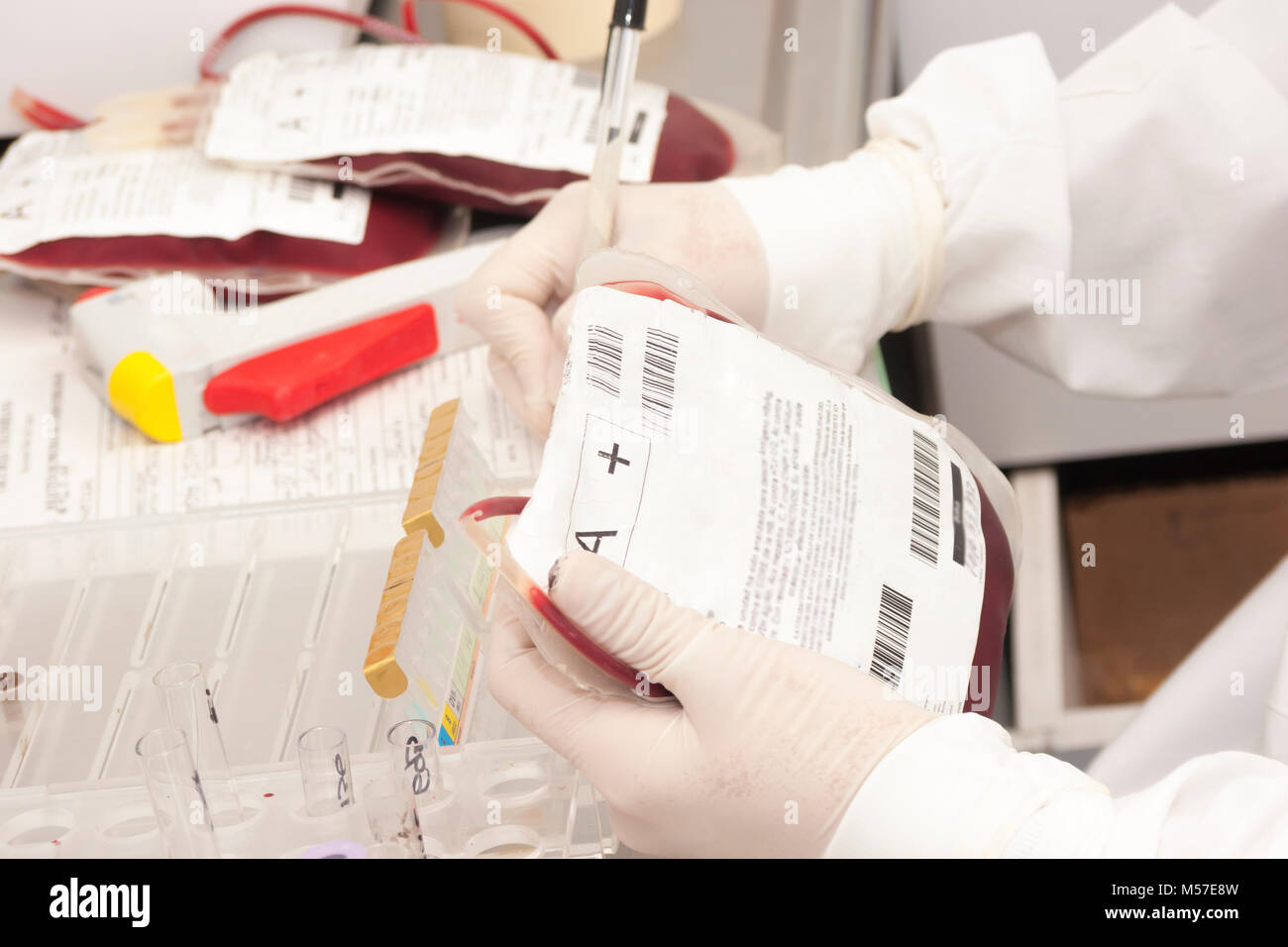 People Working At Laboratory of Blood Bank Stock Photo - Alamy
