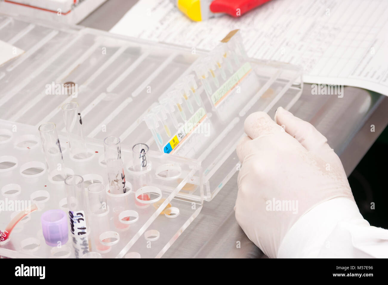 People Working At Laboratory of Blood Bank Stock Photo - Alamy