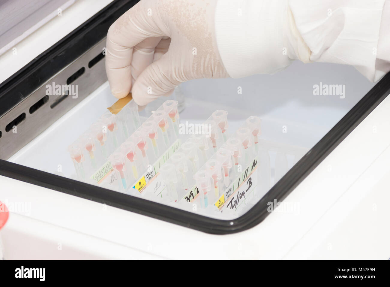 People Working At Laboratory of Blood Bank Stock Photo - Alamy