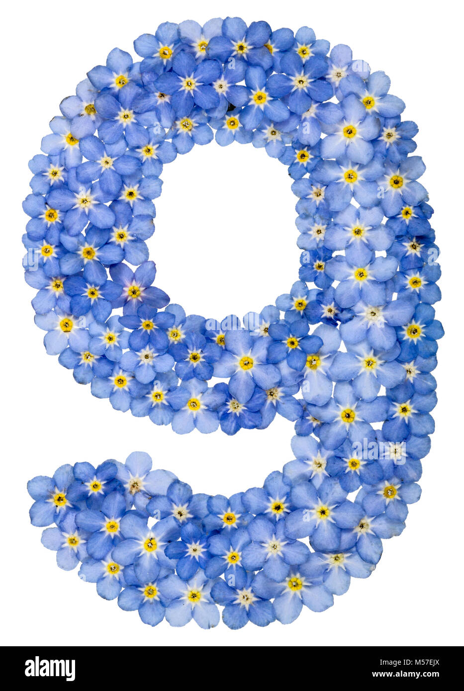 Arabic numeral 9, nine, from blue forget-me-not flowers Stock Photo - Alamy