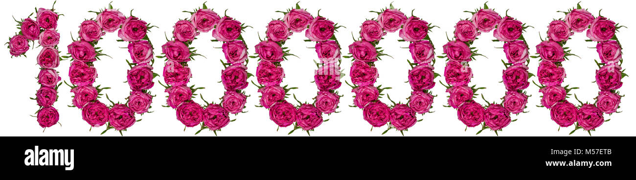 Million scarlet roses, isolated on white background Stock Photo - Alamy