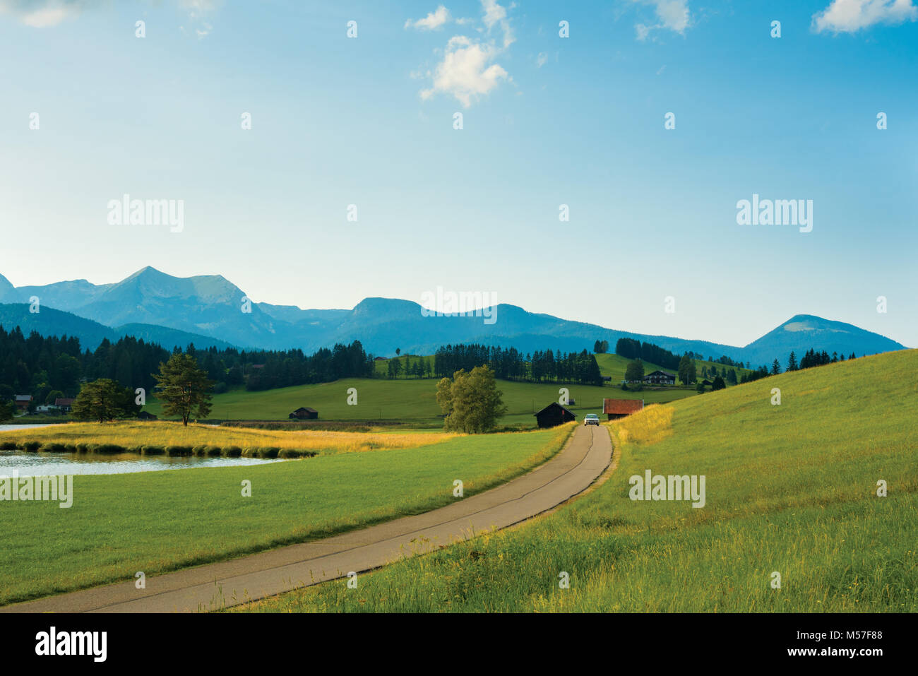 Narrow field road hi-res stock photography and images - Alamy