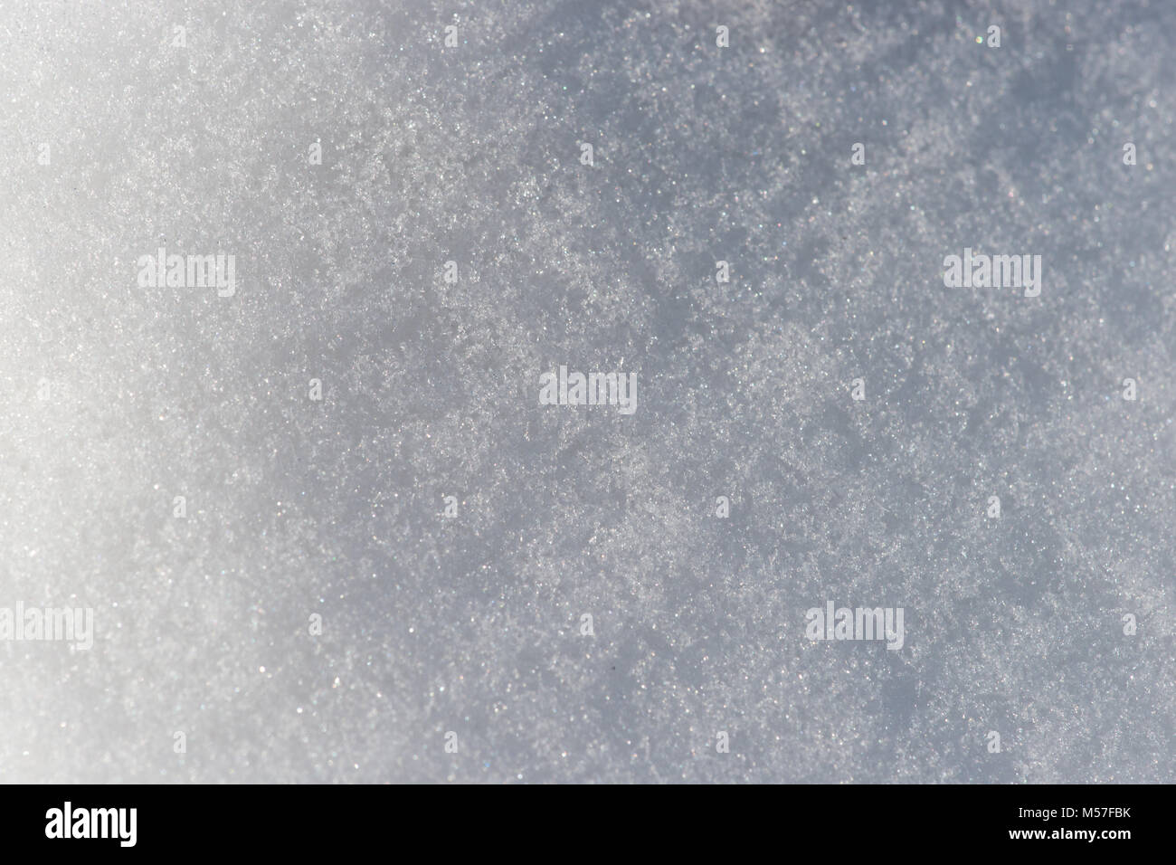 Texture of fresh snow of grayish and bluish color to be used as a ...