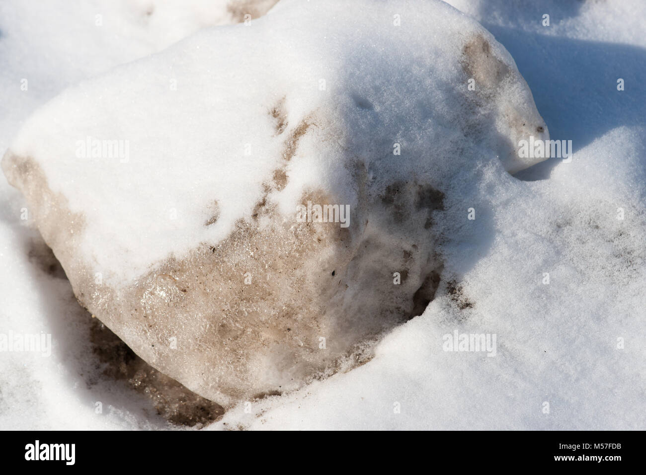 Old and partially melted dirty snowdrifts covered with a layer of pure ...