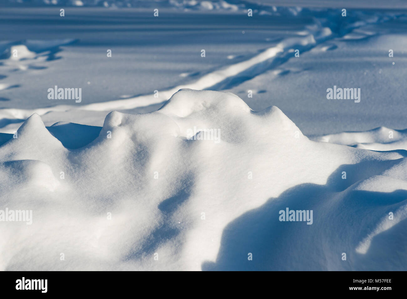 Layer of pure fresh snow. Play of light and shadow. Cold winter and ...