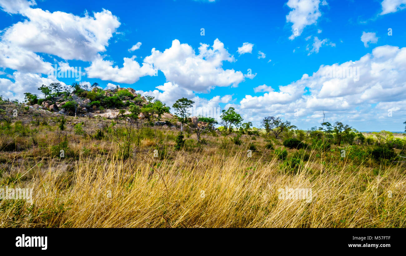 Rock formation in the savanna of central Kruger National Park in South ...