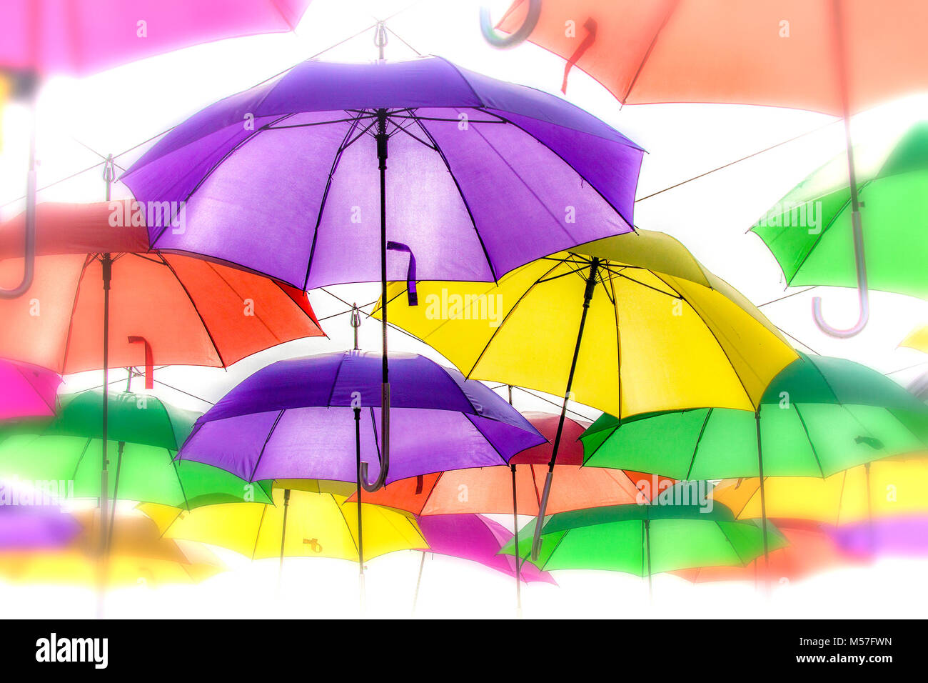 Colourful umbrellas hang from wires outside a store. Creative ...