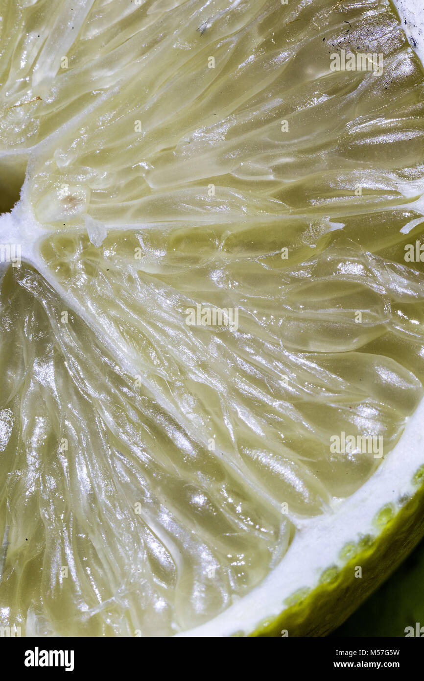 lemon, macro, fruit, texture, yellow, peel, bubbles, streaks, glare ...