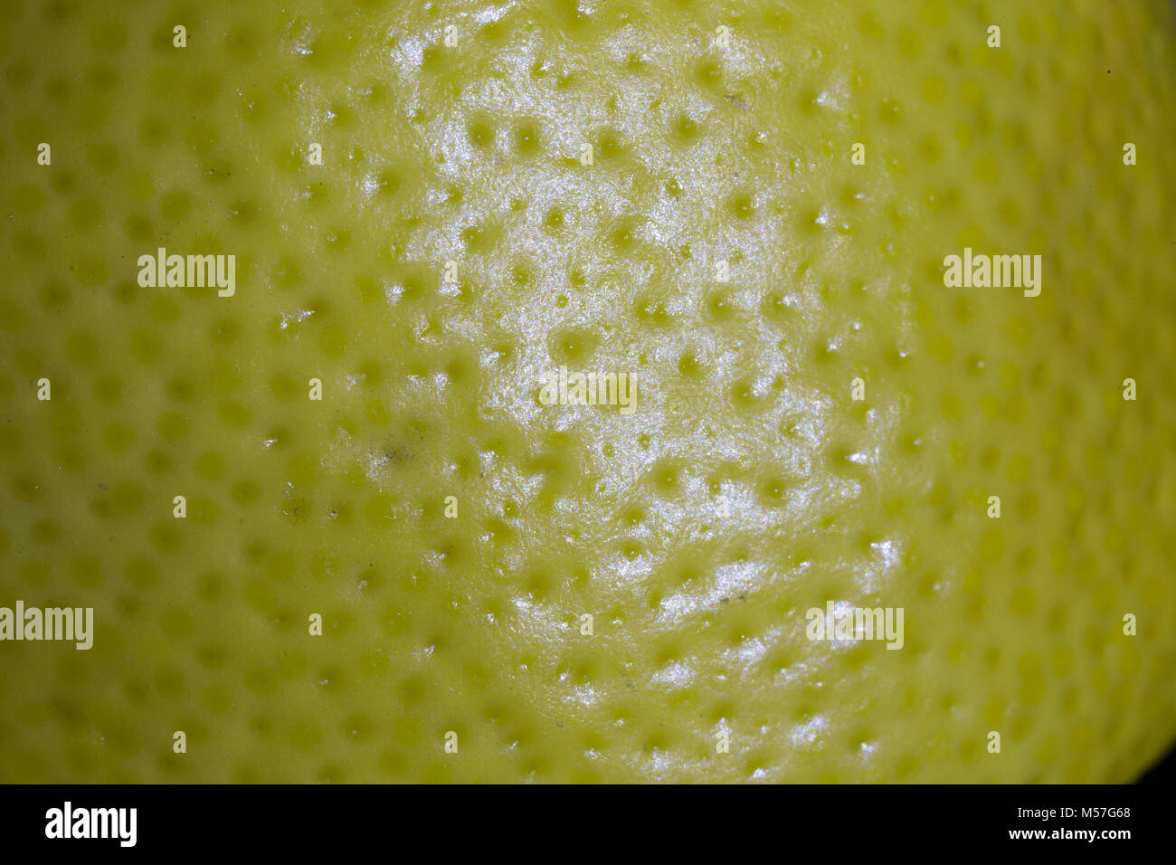 Lemon in magnification hi-res stock photography and images - Alamy