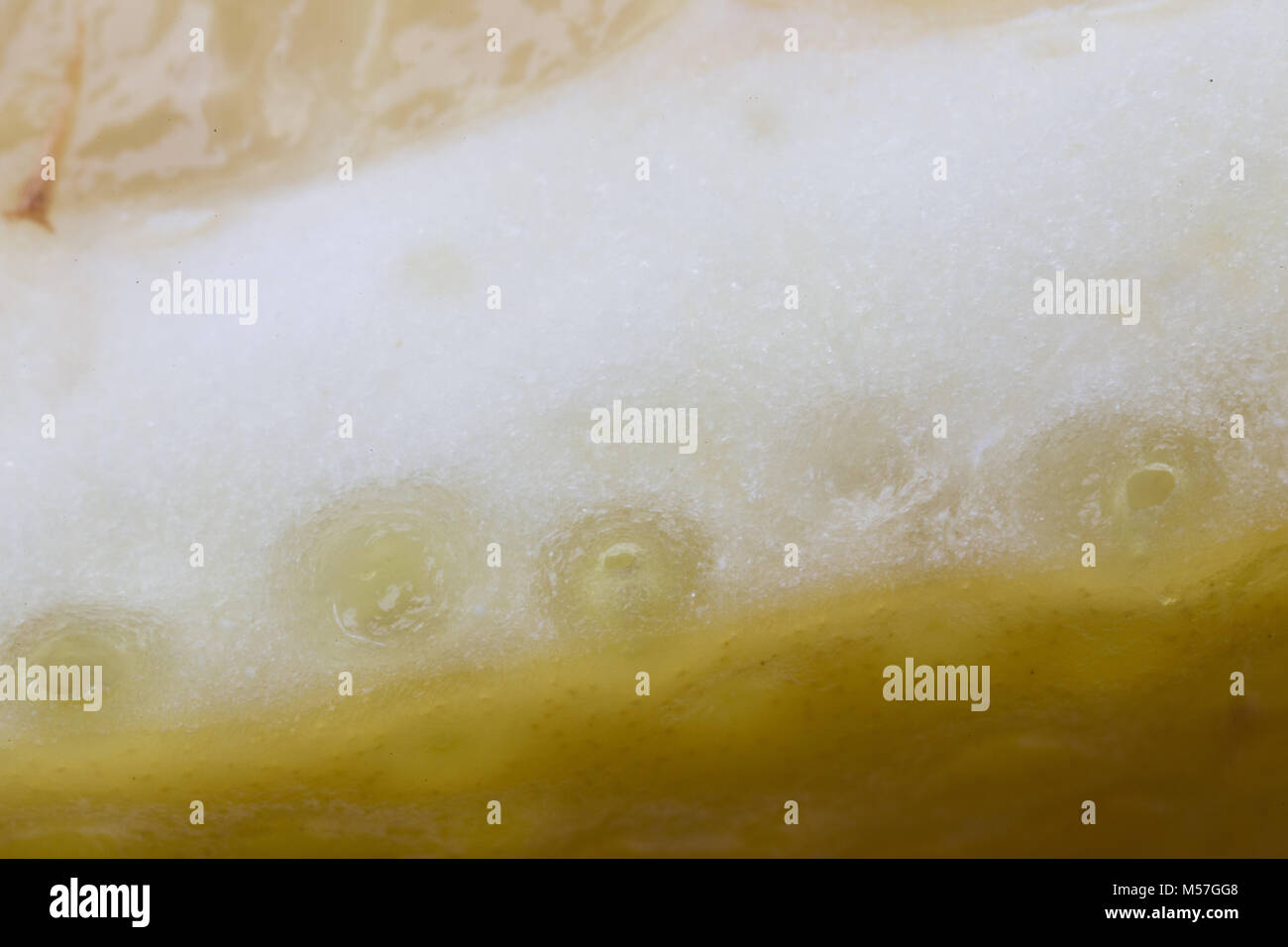 lemon, macro, fruit, texture, yellow, peel, bubbles, streaks, glare ...