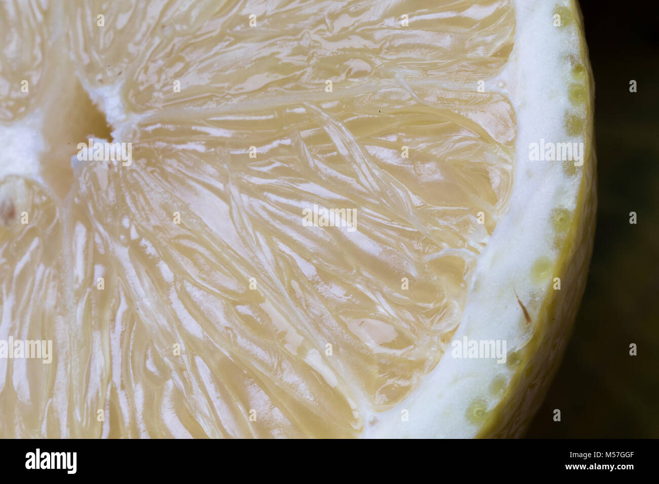 lemon, macro, fruit, texture, yellow, peel, bubbles, streaks, glare ...