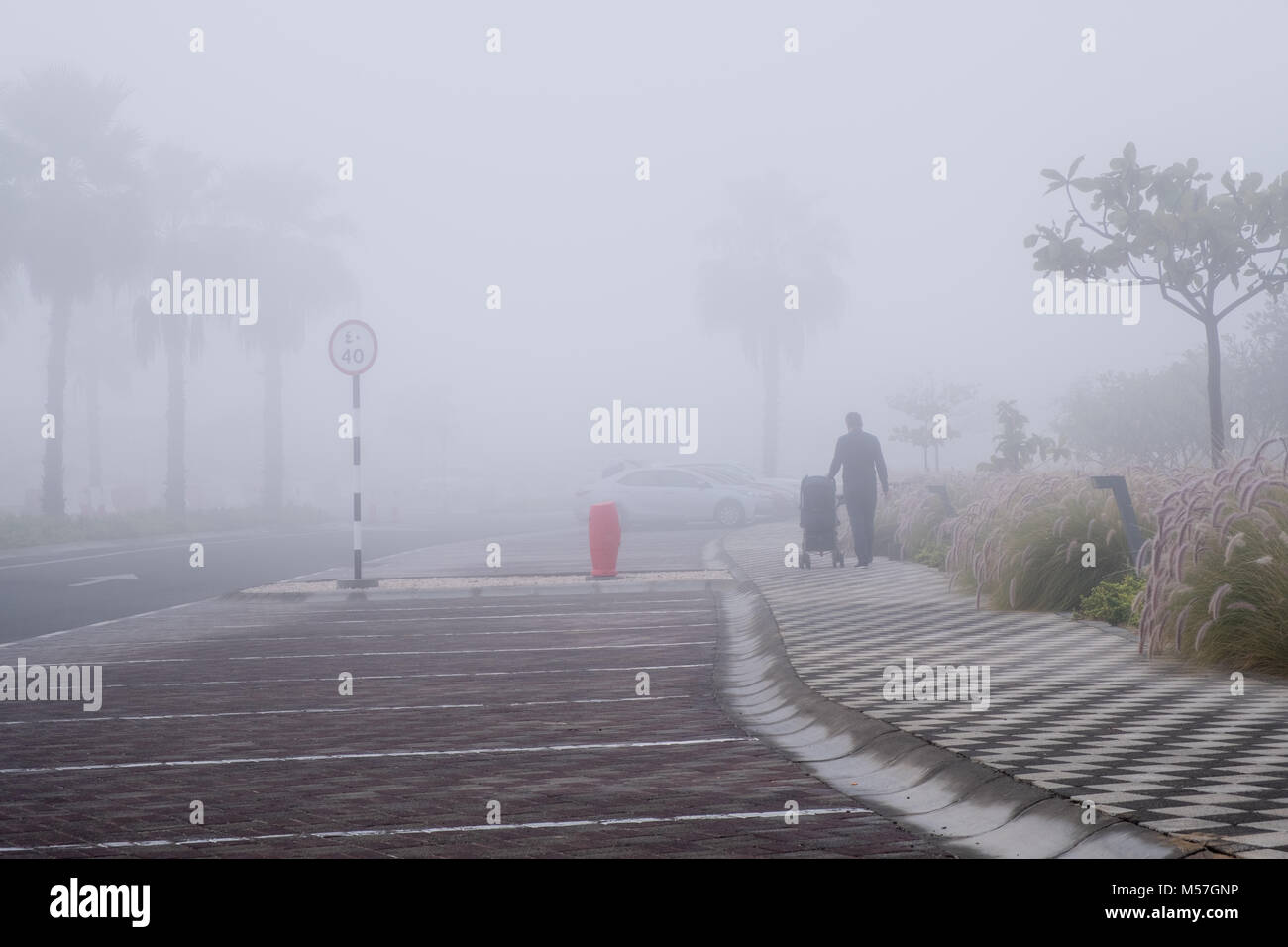 Father with his son in a buggy on Misty morning at Saadiyat Island Abu ...