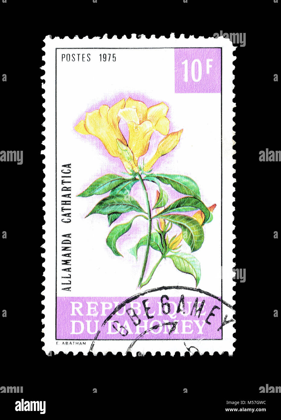 Cancelled postage stamp printed by Dahomey, that shows Golden trumpet ...