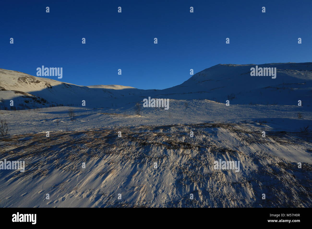 Windy winter hi-res stock photography and images - Alamy