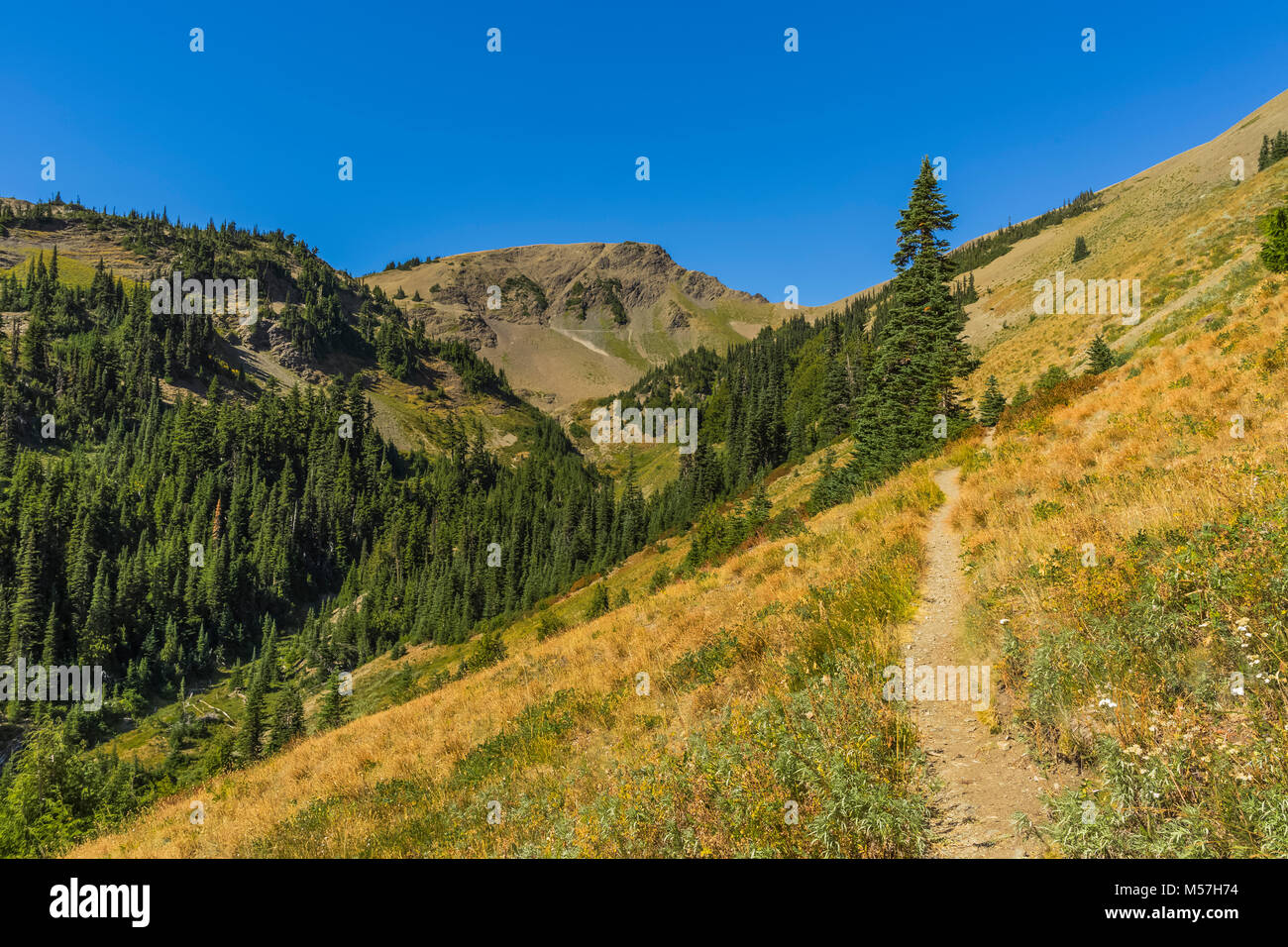 Hiking in Badger Valley during a backpacking trip into Grand Valley in ...