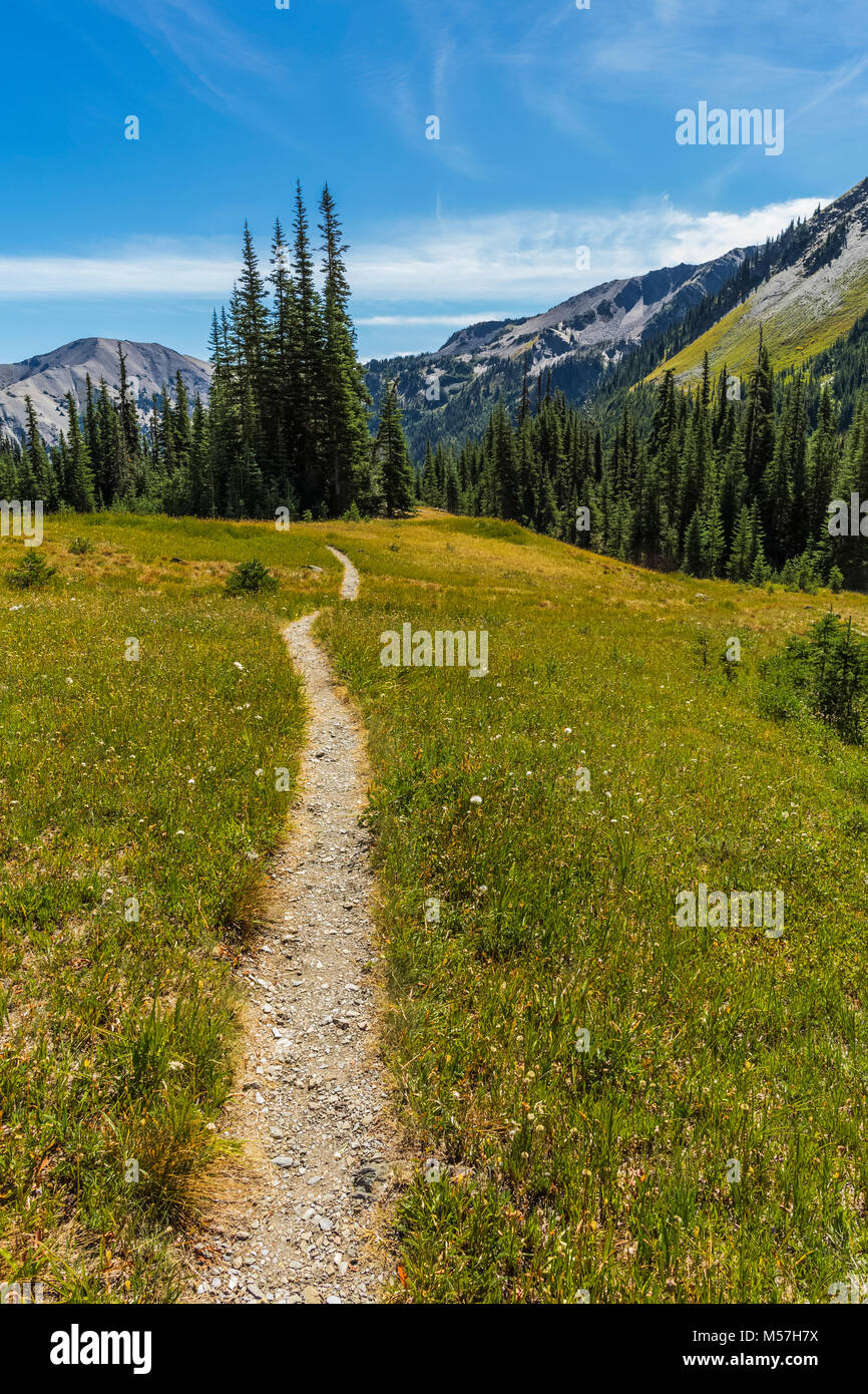 Hiking down the trail into Badger Valley during a backpacking trip into ...