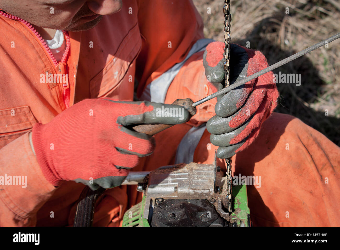 Close-up professional chainsaw blade,sharp chain rasp.the chain on the ...