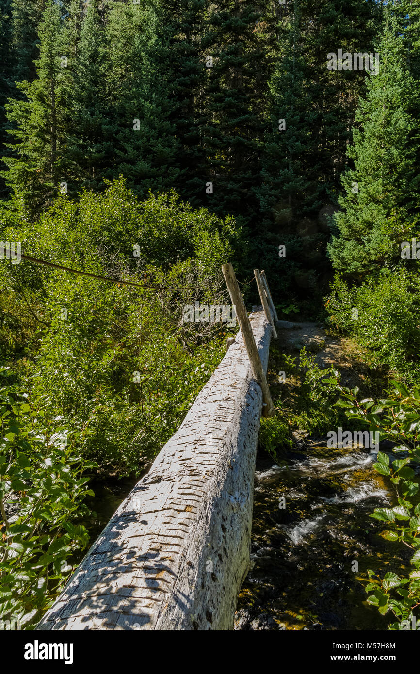 Crossing log bridge hi-res stock photography and images - Alamy