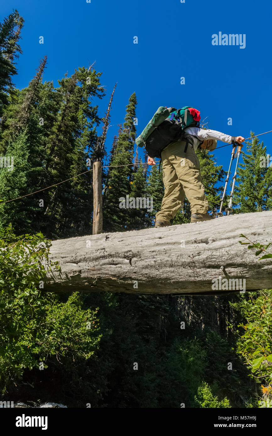 Joan Michaels on a difficult, tilted log bridge over Grand Creek in ...