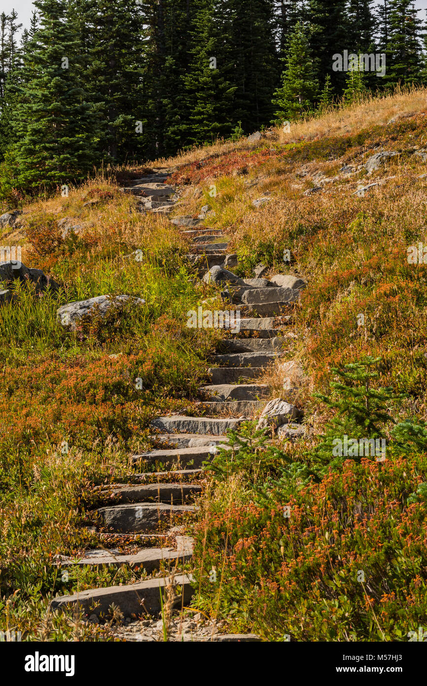 Stone steps along the Grand Valley Trail in Grand Valley in Olympic ...