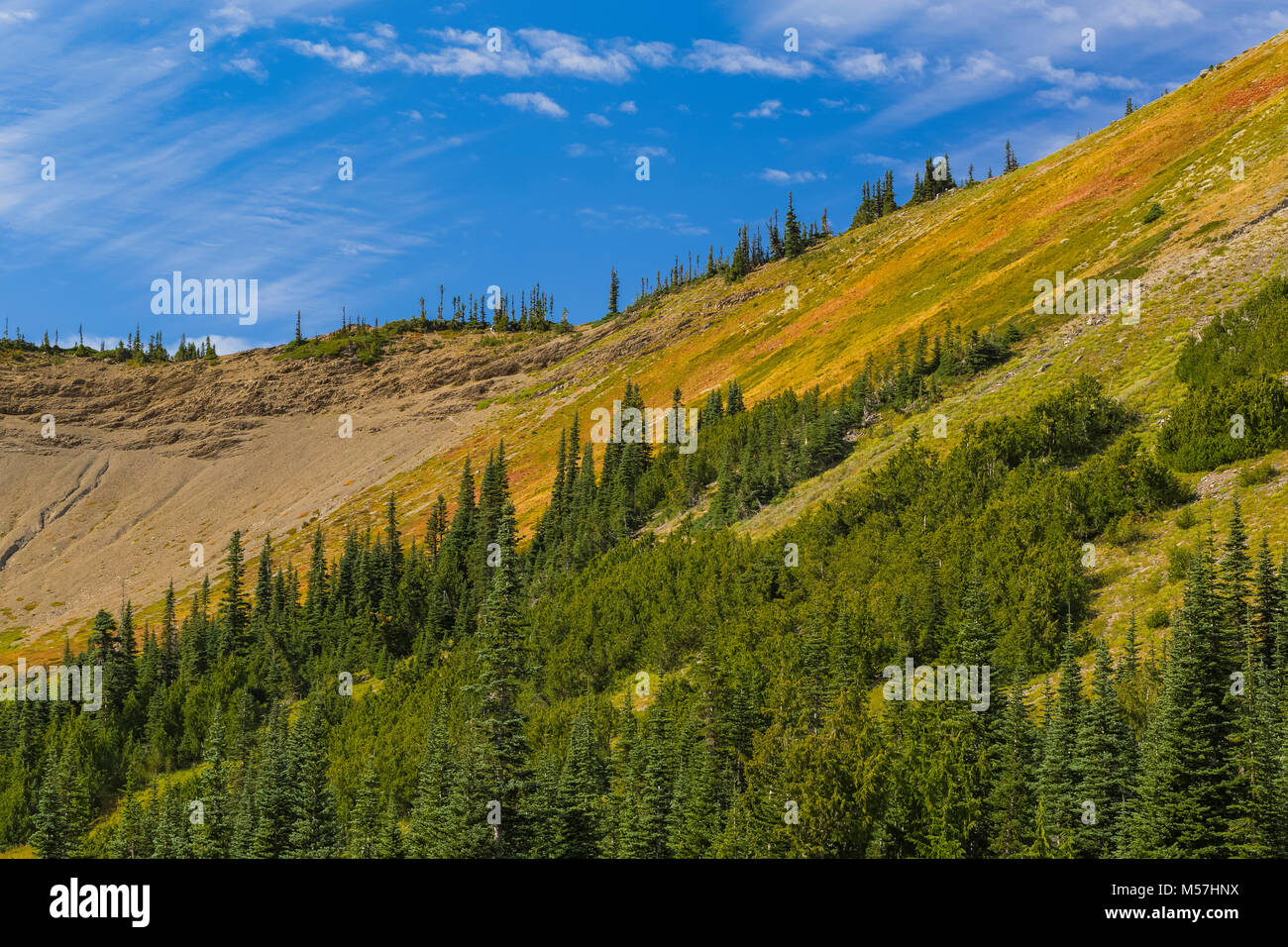 Subalpine forest and meadows on mountainsides viewed from Grand Valley ...