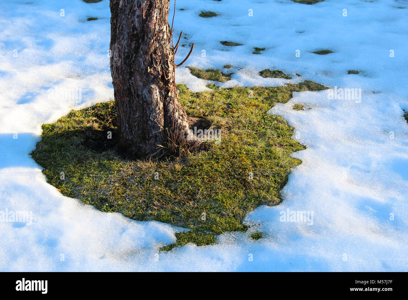 Snow spring sunshine hi-res stock photography and images - Alamy