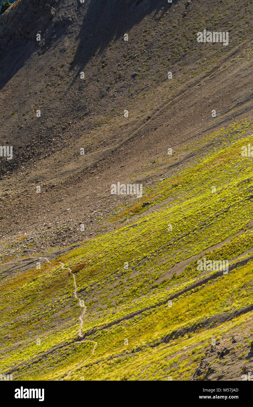 Mountainside in the Cameron Valley backlit by the sun, viewed from ...