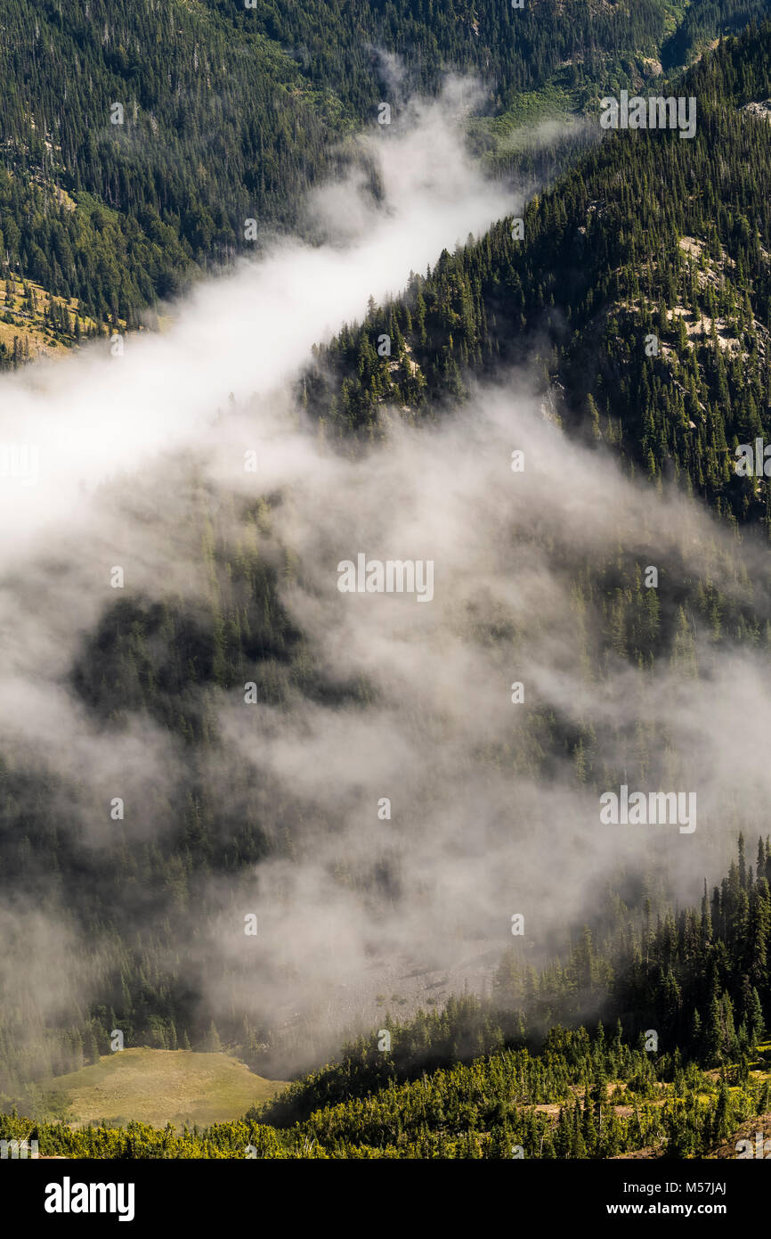 Clouds forming in the bottom of the Cameron Creek Valley, observed from ...