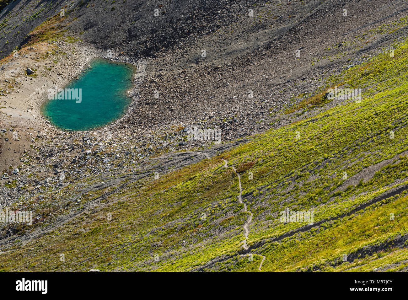Cameron lake trail hi-res stock photography and images - Alamy
