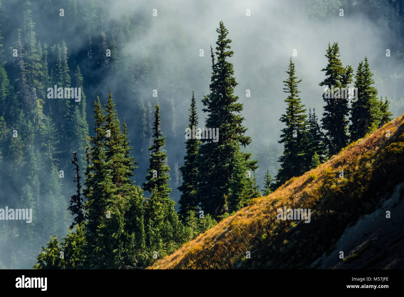 Clouds forming in the bottom of the Cameron Creek Valley, observed from ...