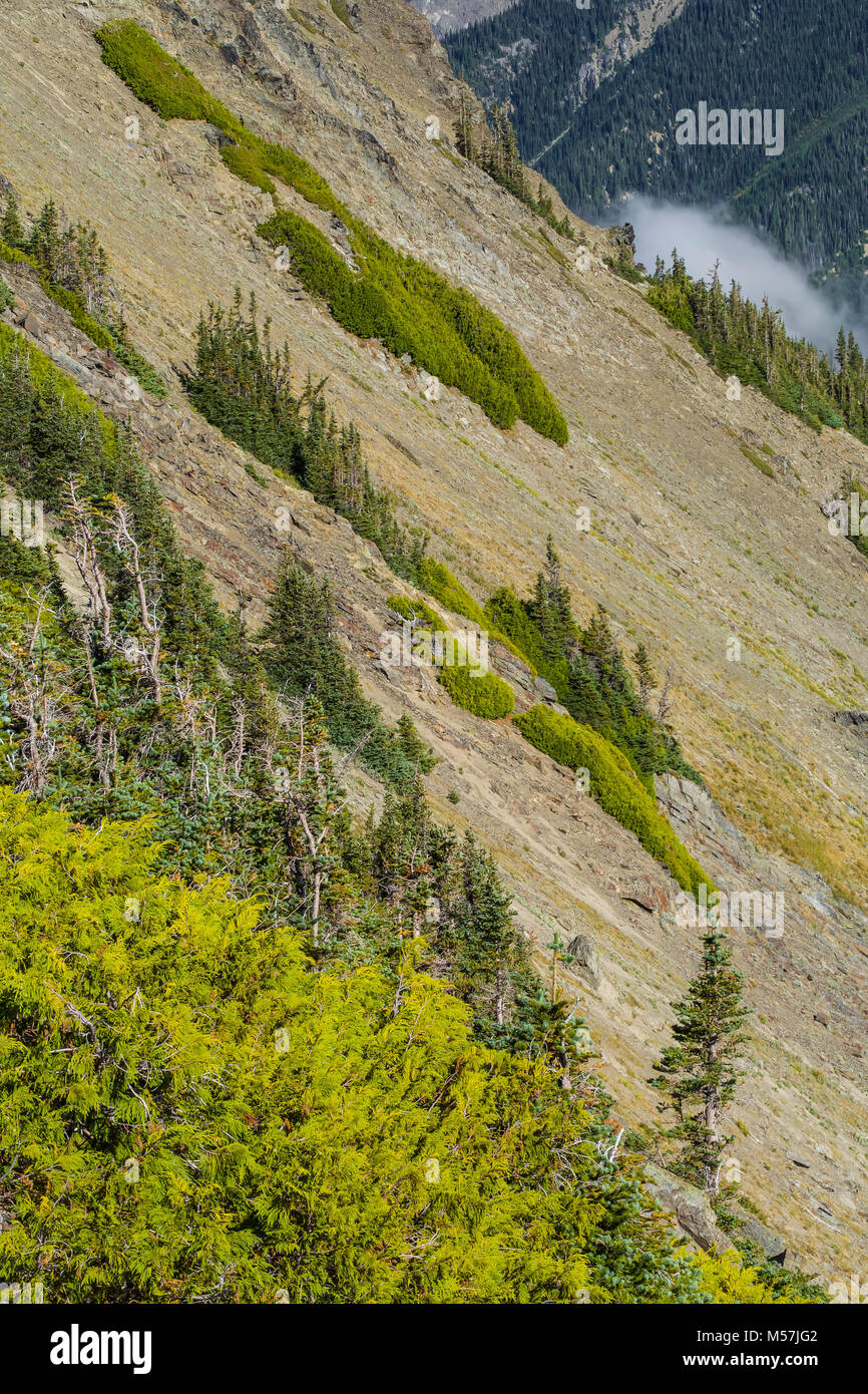 View to cameron creek hi-res stock photography and images - Alamy