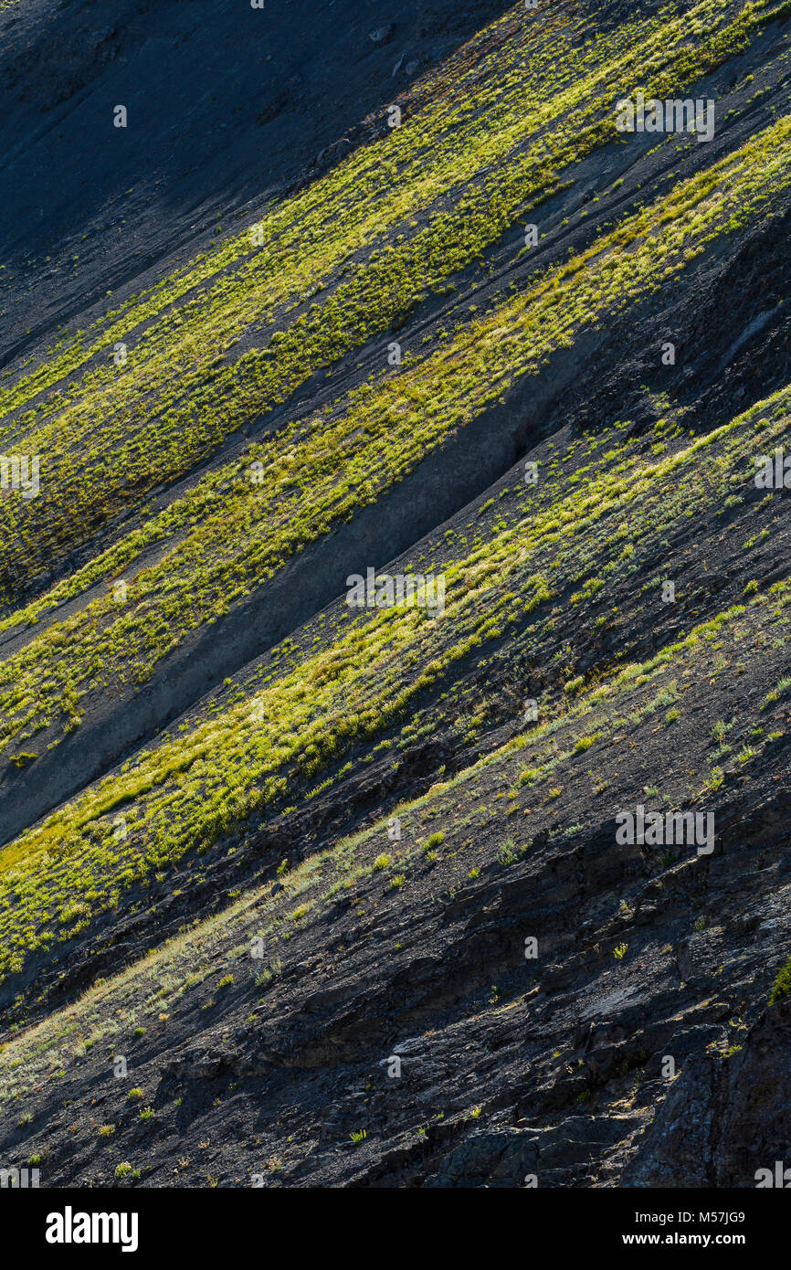 Mountainside in the Cameron Valley backlit by the sun, viewed from ...