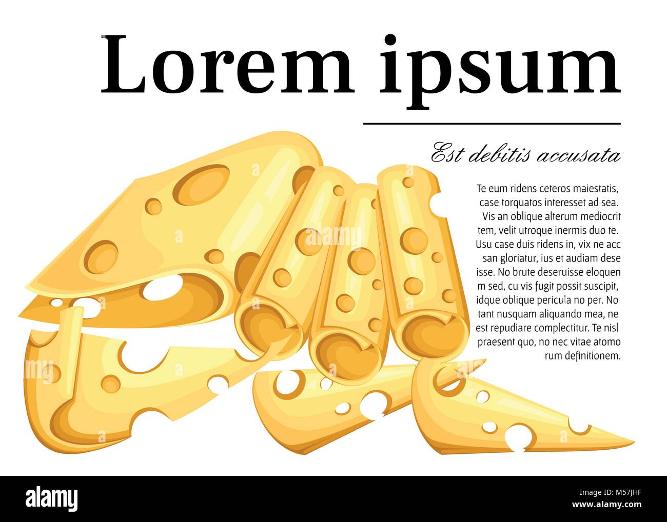 Set cutting firm grade of cheese popular kind vector illustration ...