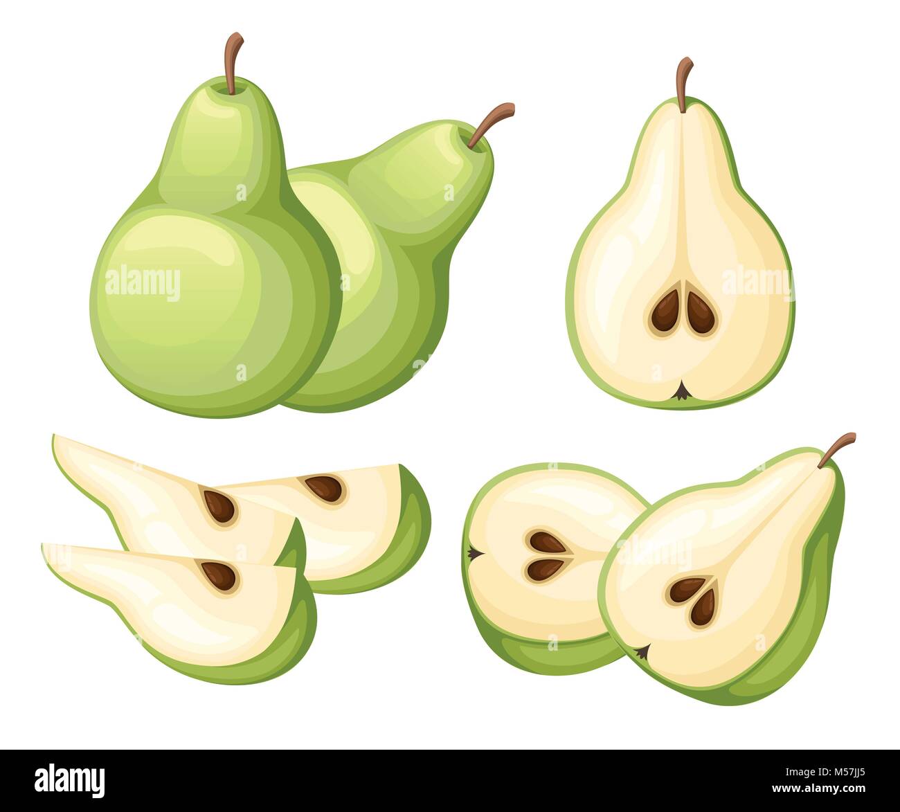 Pear and slices of pears. Vector illustration of pears. Vector ...