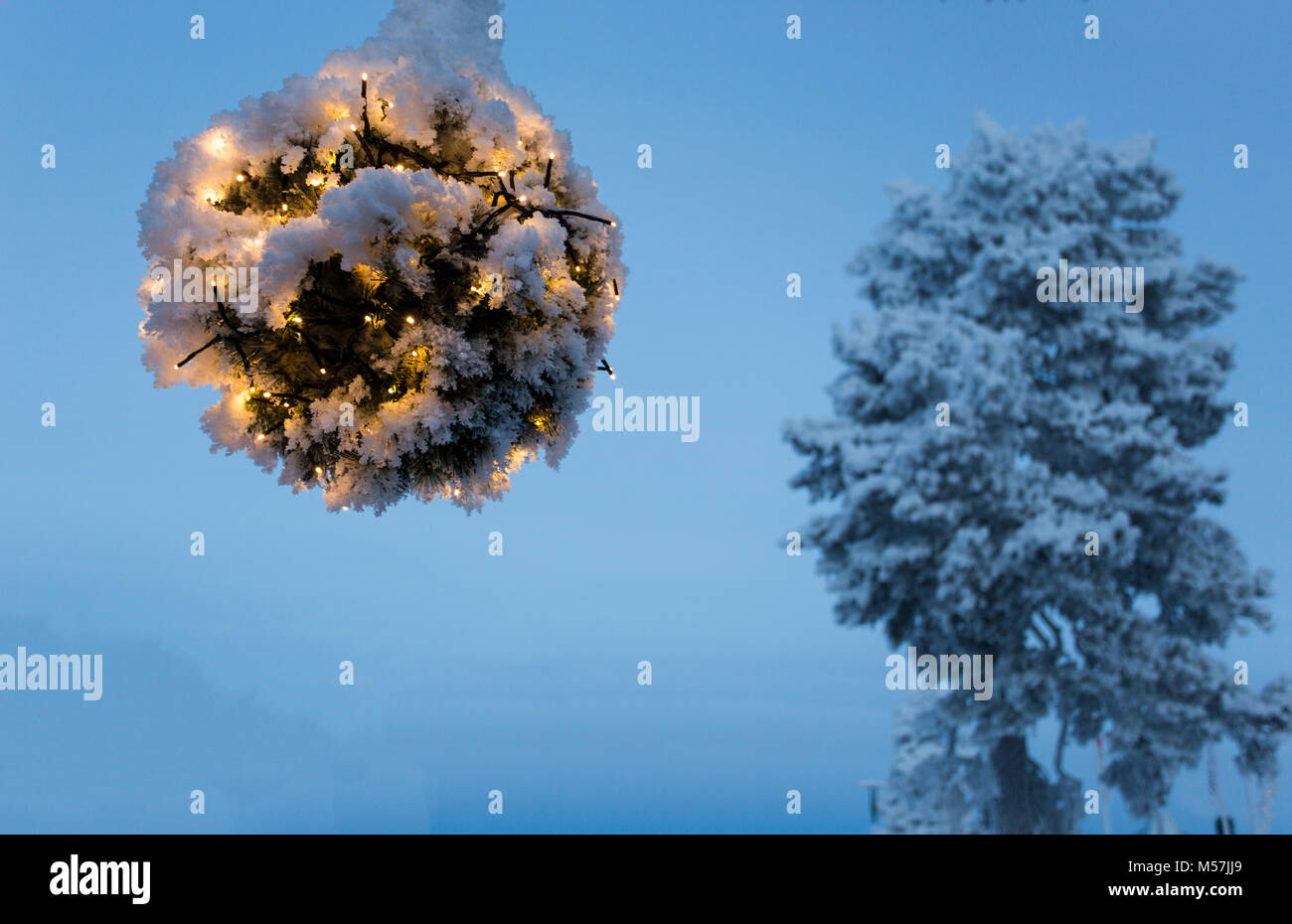 Frozen Christmas decoration with lights and snow Stock Photo - Alamy