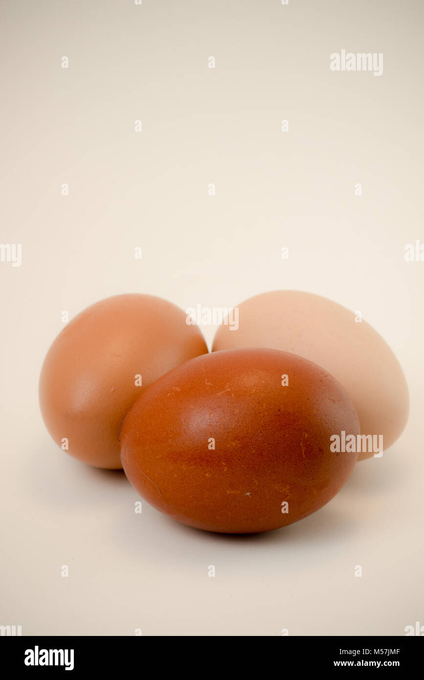 Brown egg vertical hi-res stock photography and images - Alamy