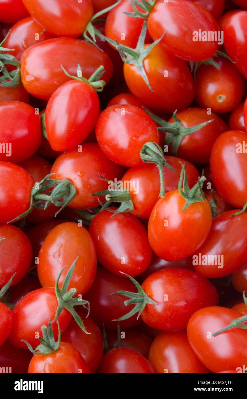 Baby romas hi-res stock photography and images - Alamy