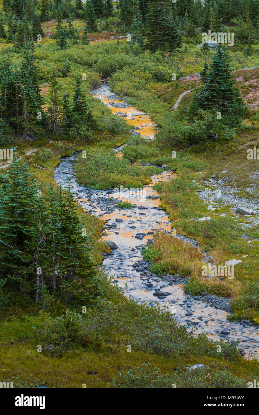 Grand Creek flows through subalpine forests and meadows in Grand Valley ...