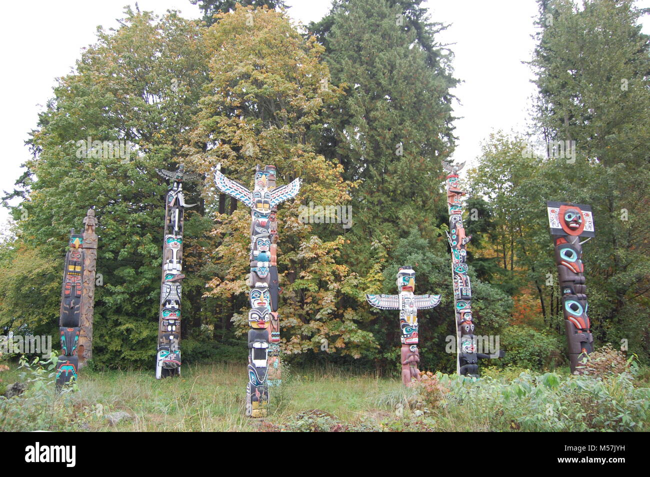 Red cedar tree totem pole hi-res stock photography and images - Alamy