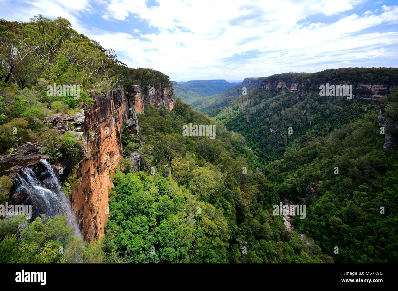 Fitzroy Falls waterfall landscape Stock Photo - Alamy