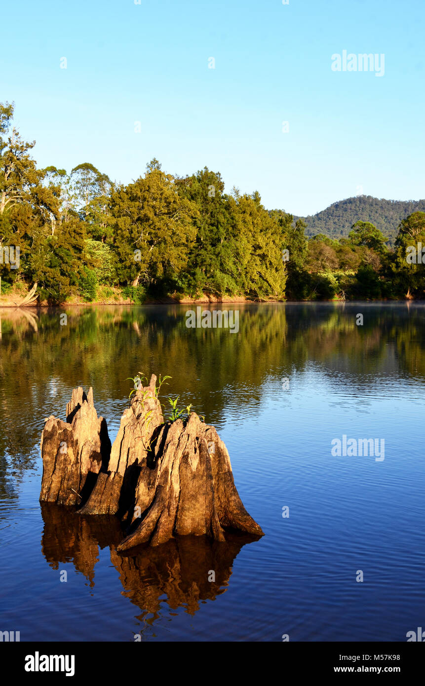 Kangaroo River NSW Australia with reflection of tree stump and trees on ...