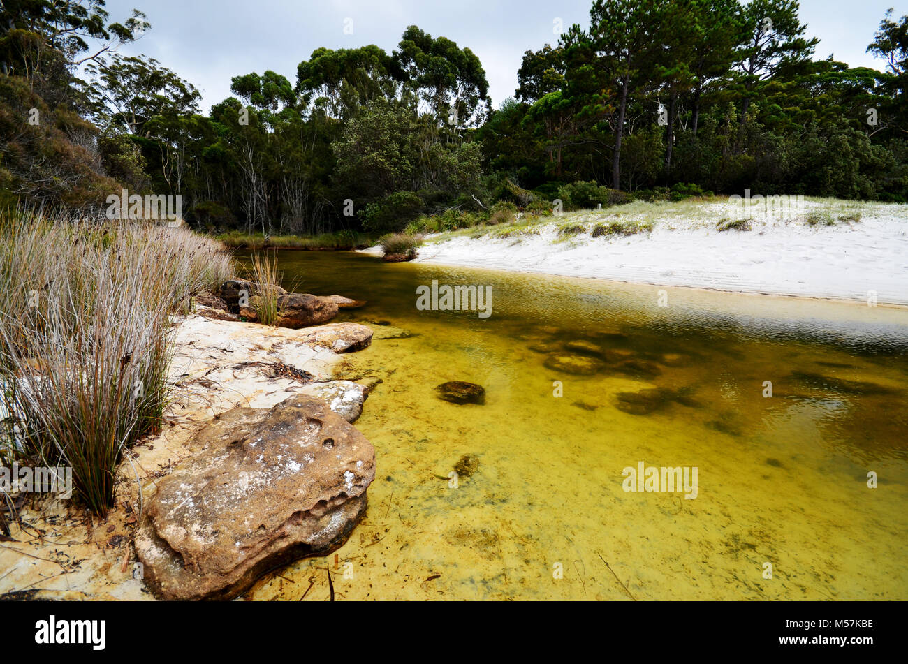 Greenfield Beach Jervis Bay NSW Australia Stock Photo - Alamy