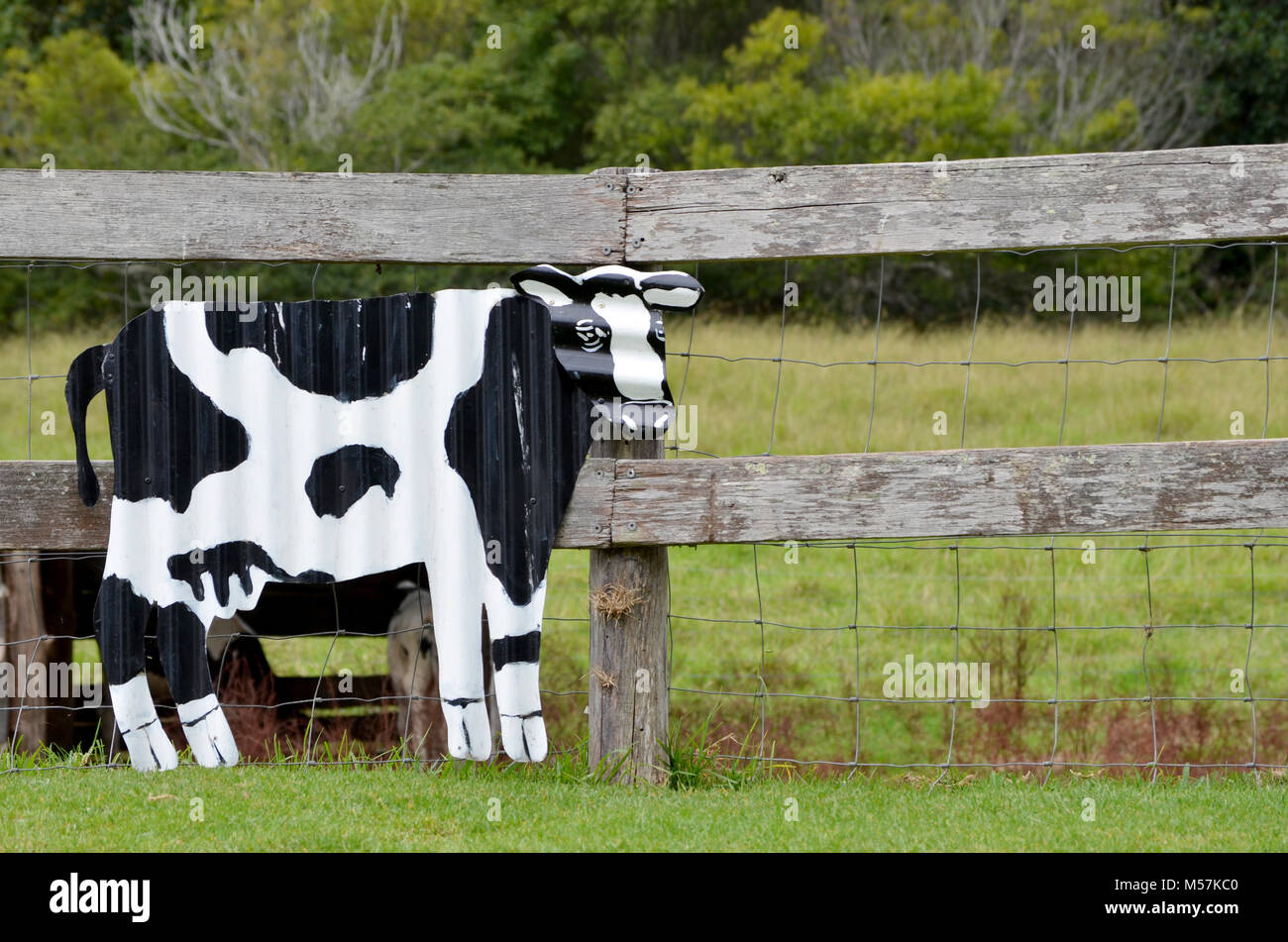 Cattle Industry Stock Photos & Cattle Industry Stock Images - Alamy