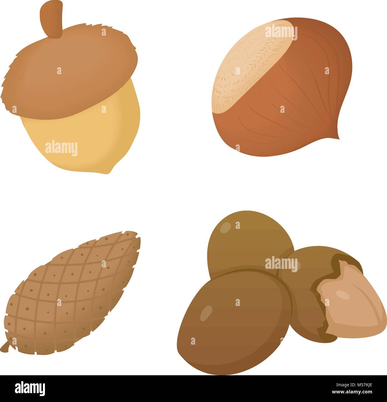 Cartoon nuts and seeds hazelnut and coconut hi-res stock photography ...