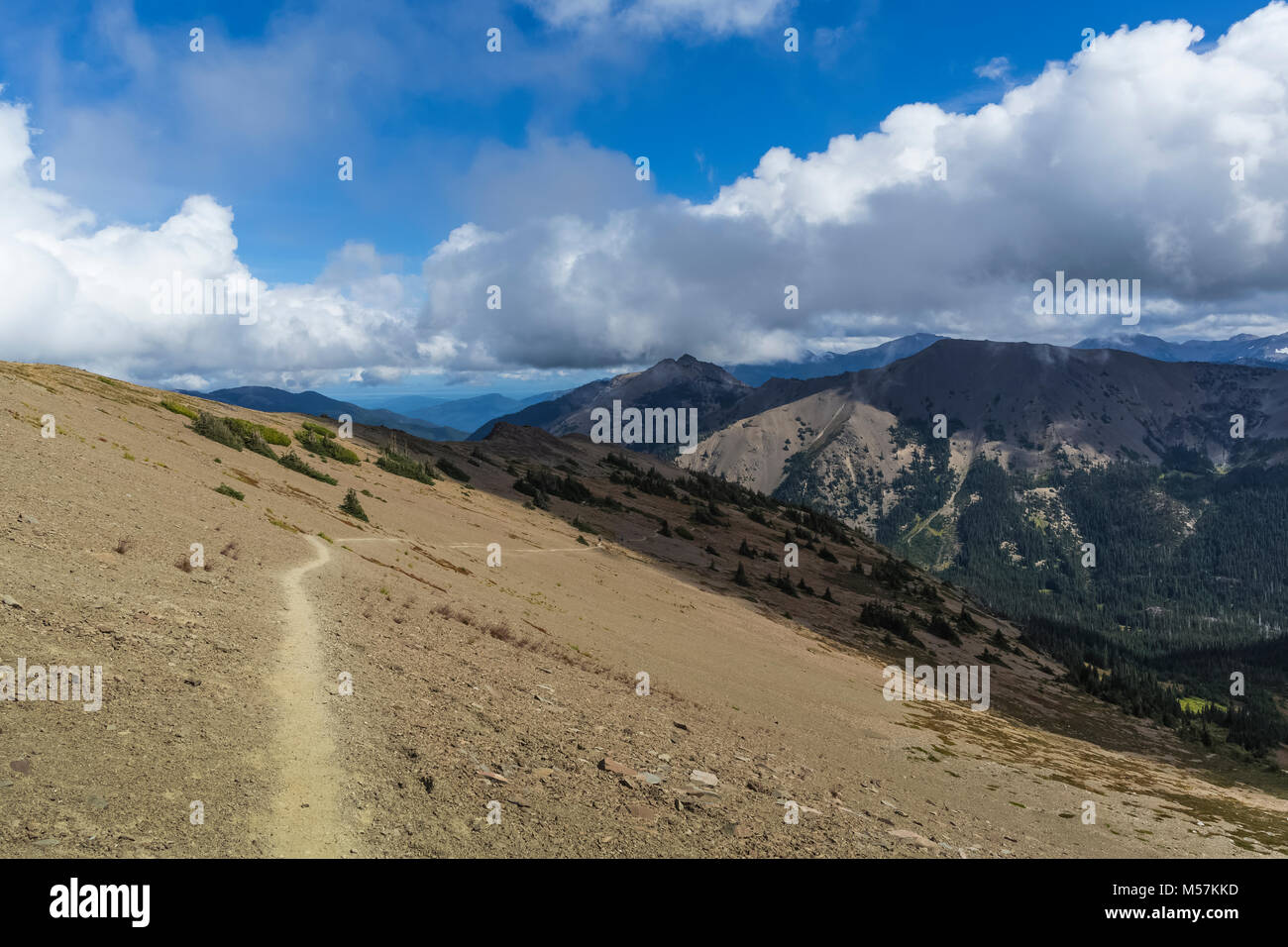 Obstruction pass state park trail hi-res stock photography and images ...